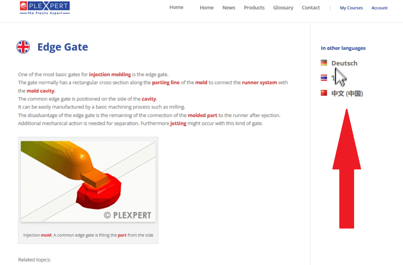 Languages | PLEXPERT Canada Inc.